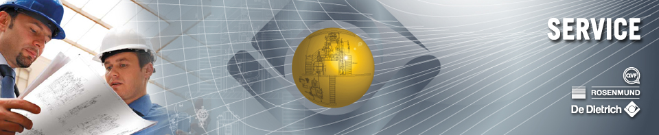 Field service by De Dietrich Process Systems
